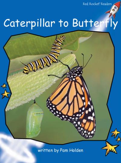 Caterpillar to Butterfly