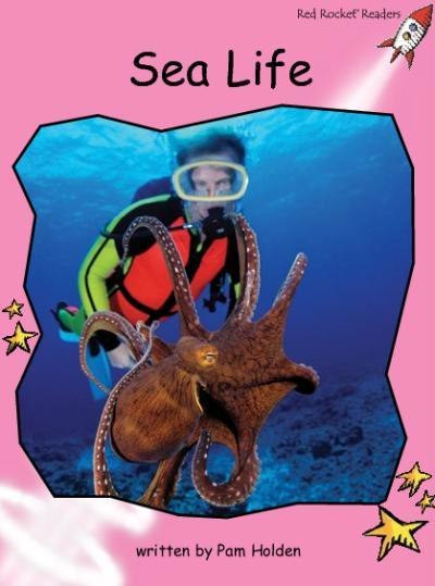 Sea Life - Flying Start Books