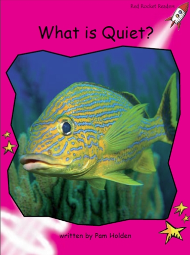 What is Quiet? - Flying Start Books