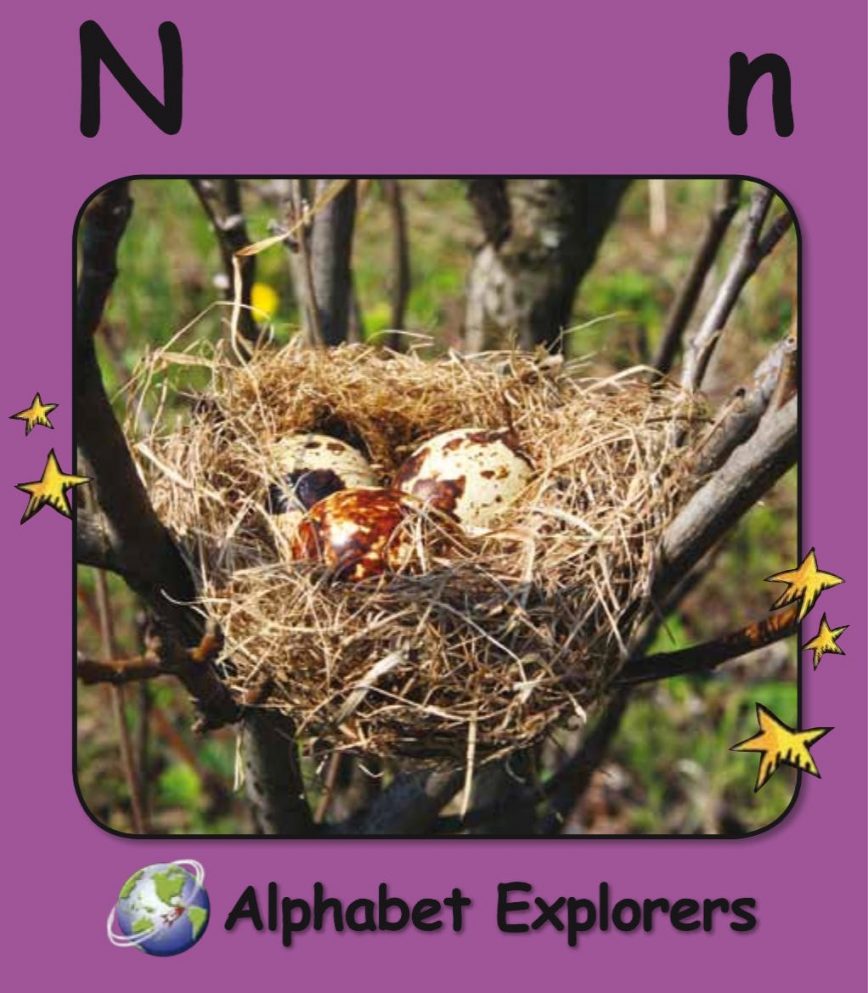 Alphabet Explorers I-P Archives - Flying Start Books
